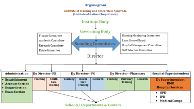 Organogram – Institute of Teaching and Research in Ayurveda